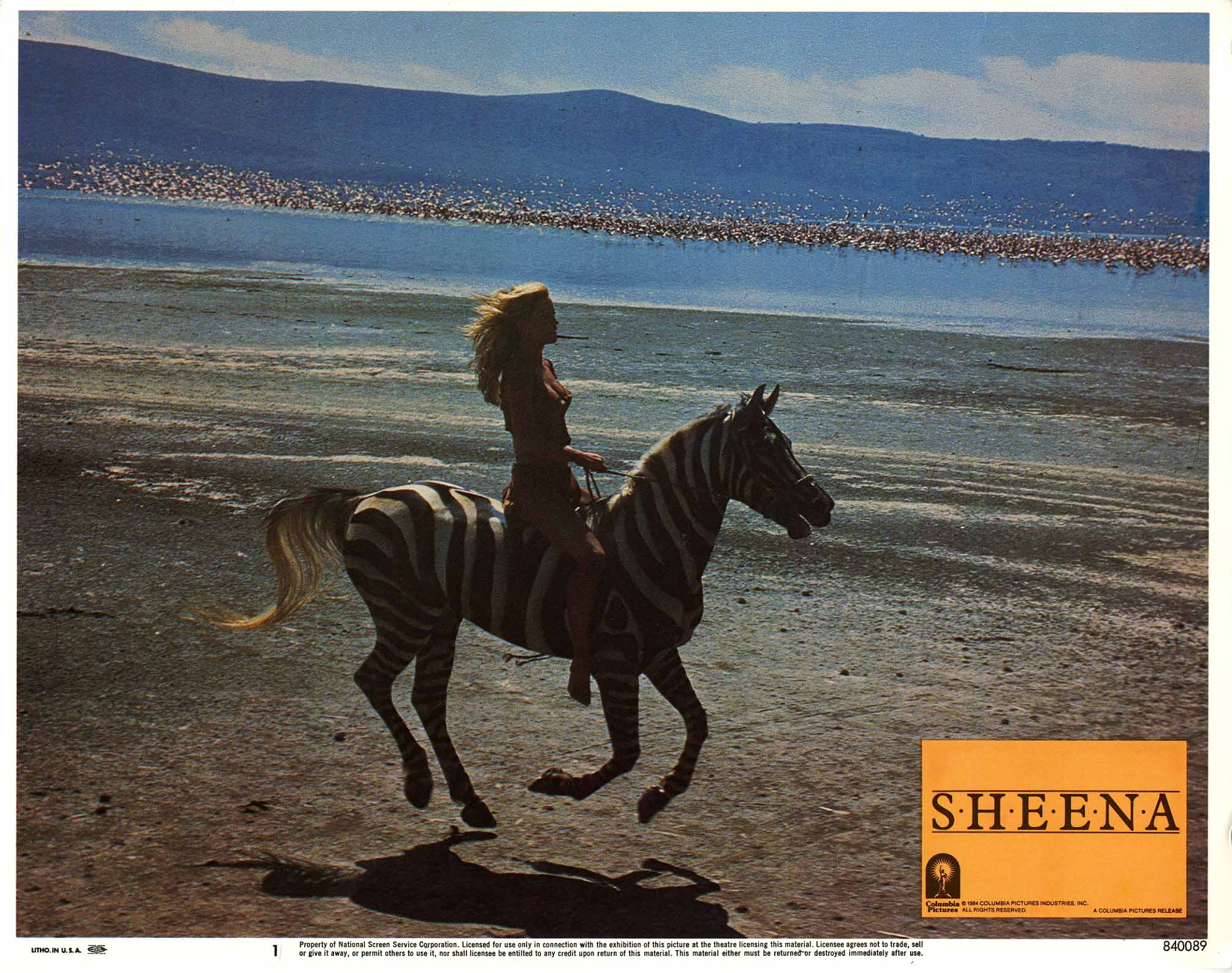 Sheena (1984) on Pinterest | Cd Cover, Trading Cards and Pink Stripes